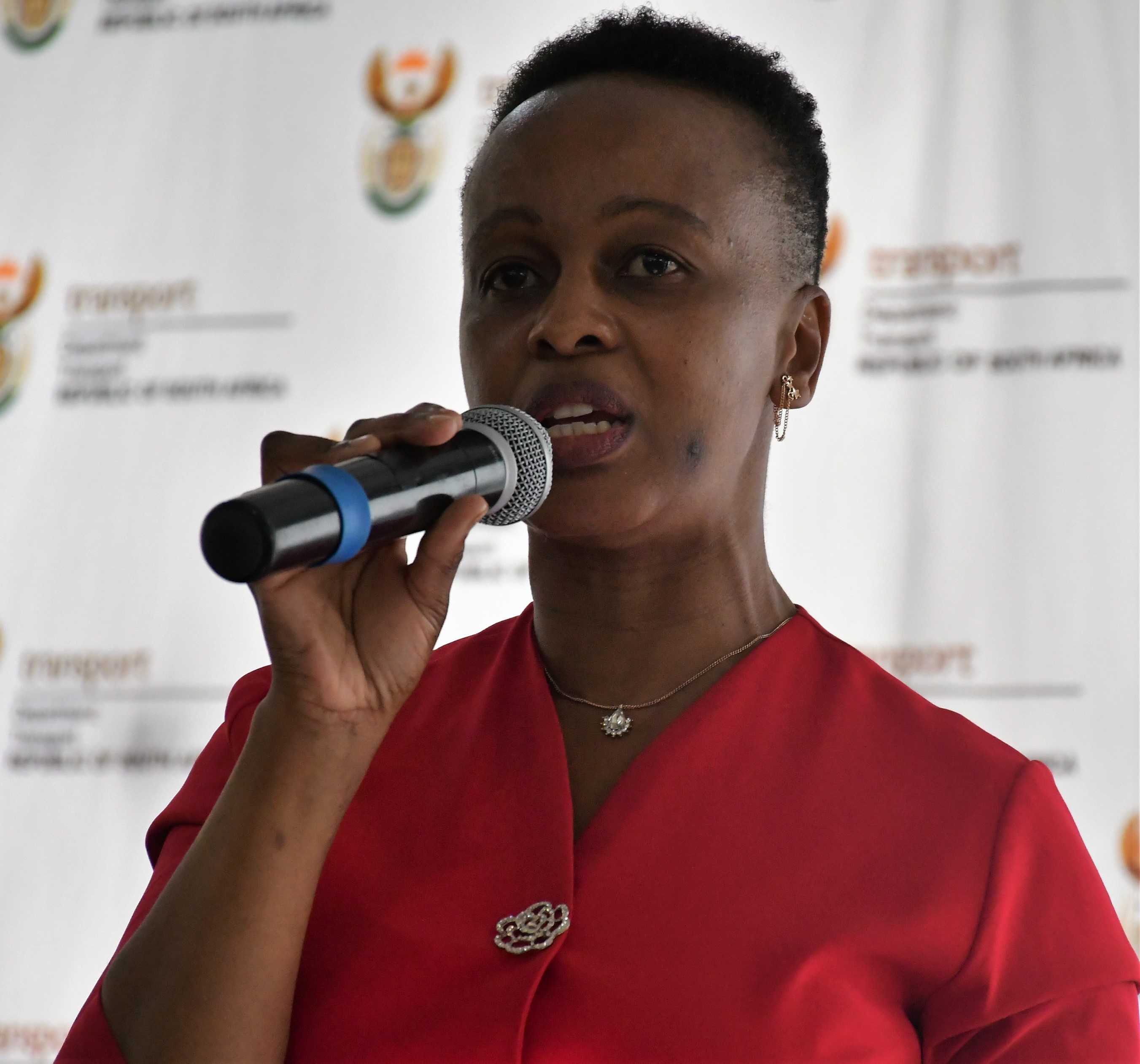 Cooperation and collaboration key to successful implementation of SA’s ...