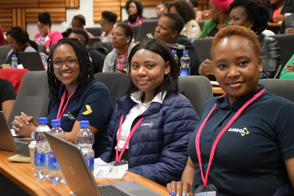 Relaunched WOMESA South Africa Chapter has no more time to lose ...